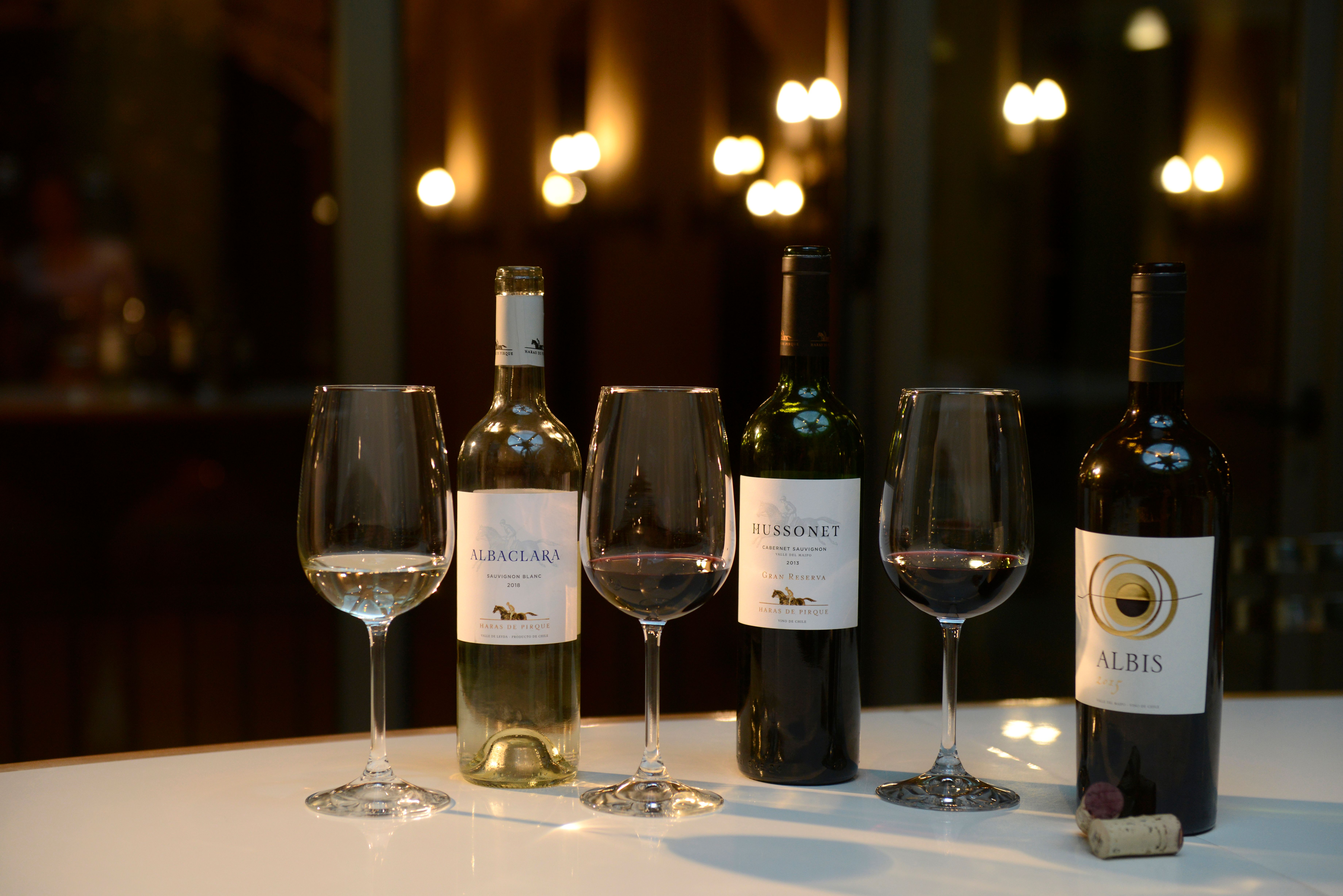 Experiência Ícone Albis na vinícola Haras de Pirque - Wine Locals