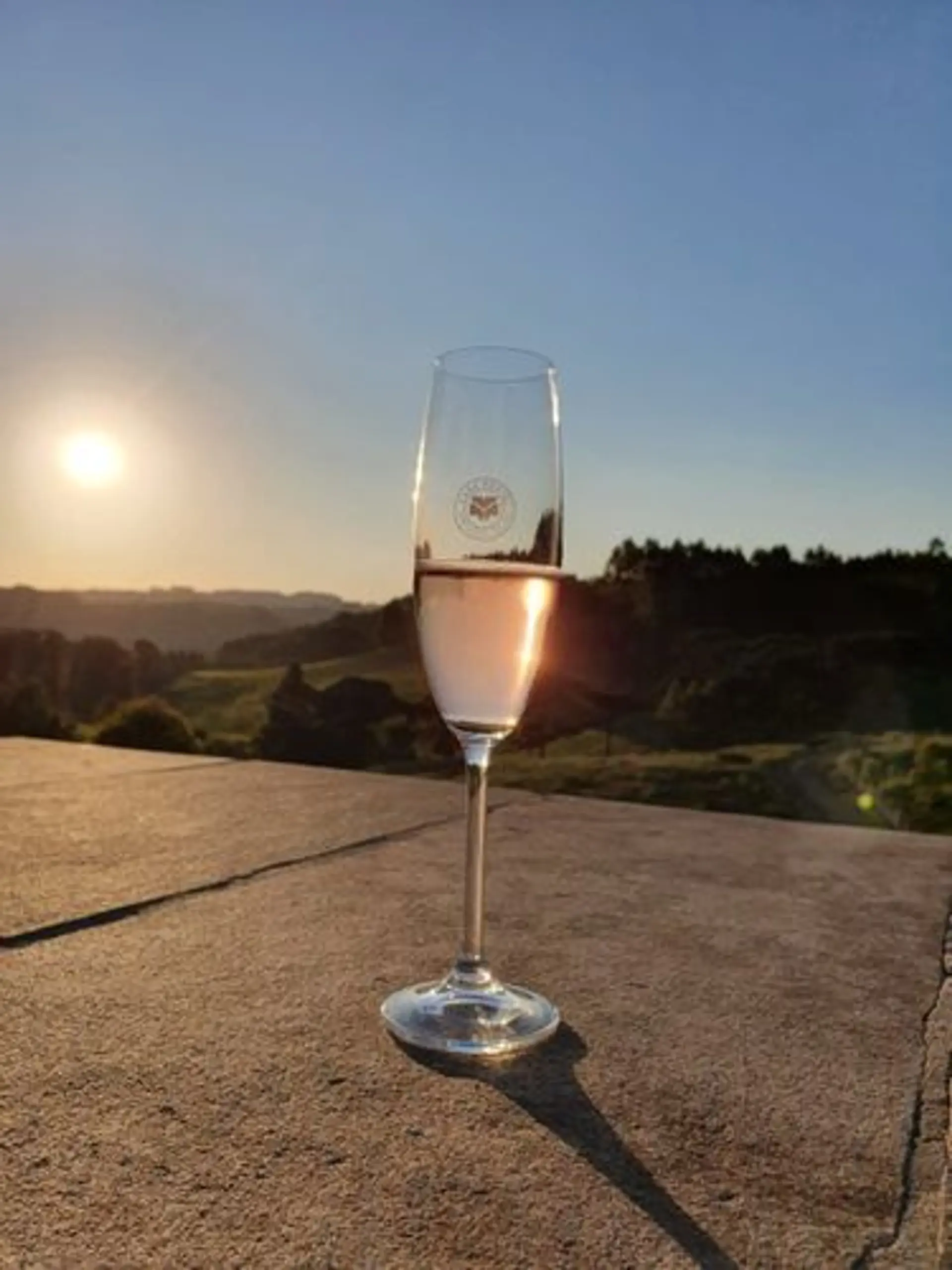 Vale Trentino Experience: Tour e Degustação nos Vinhedos na Casa Perini ...