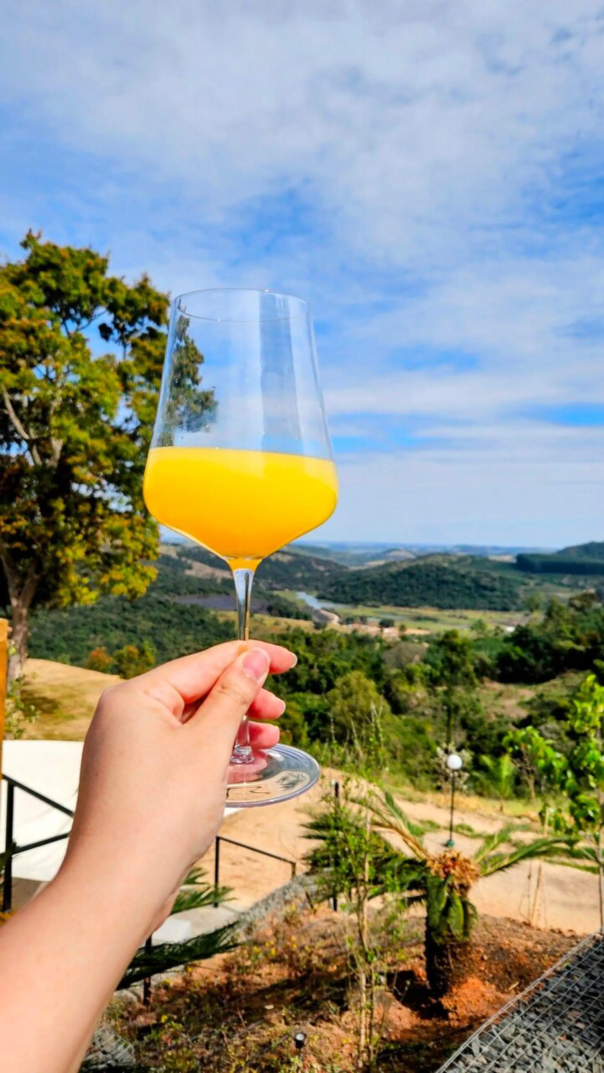 Vinícola Merum - Wine Locals