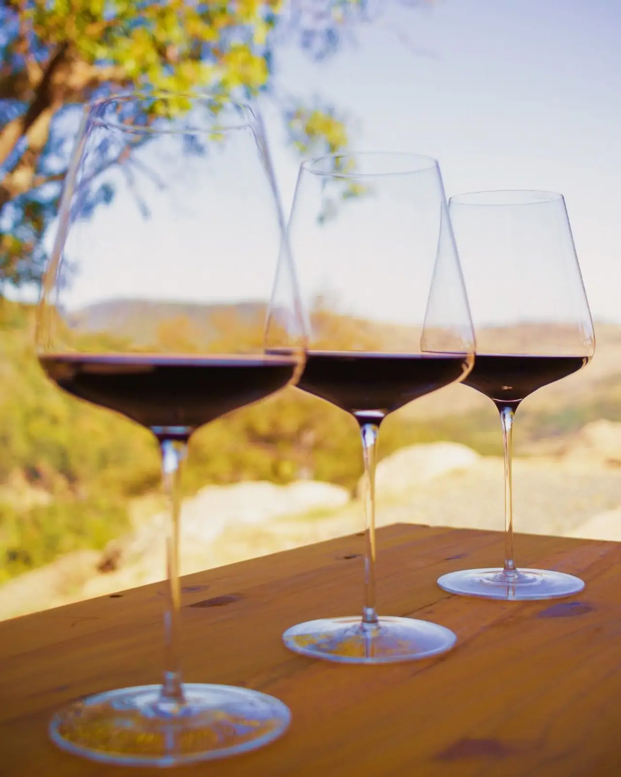 Vinícola Merum - Wine Locals