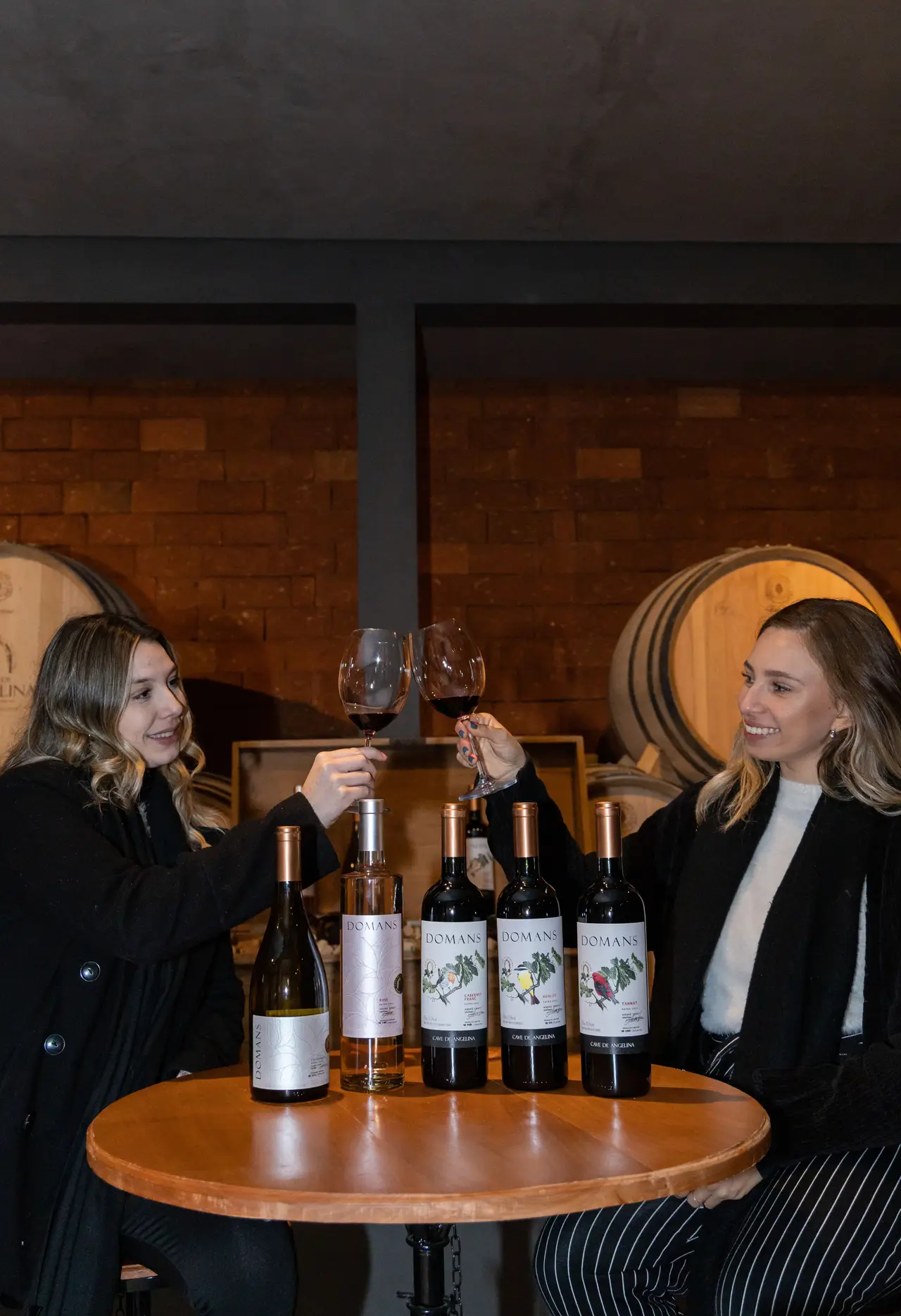 Visita e degustação de vinhos na Cave de Angelina - Wine Locals