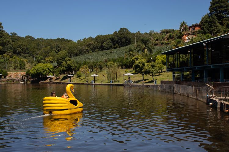 Pedalinho e pescaria no Parque do Peixe - Wine Locals