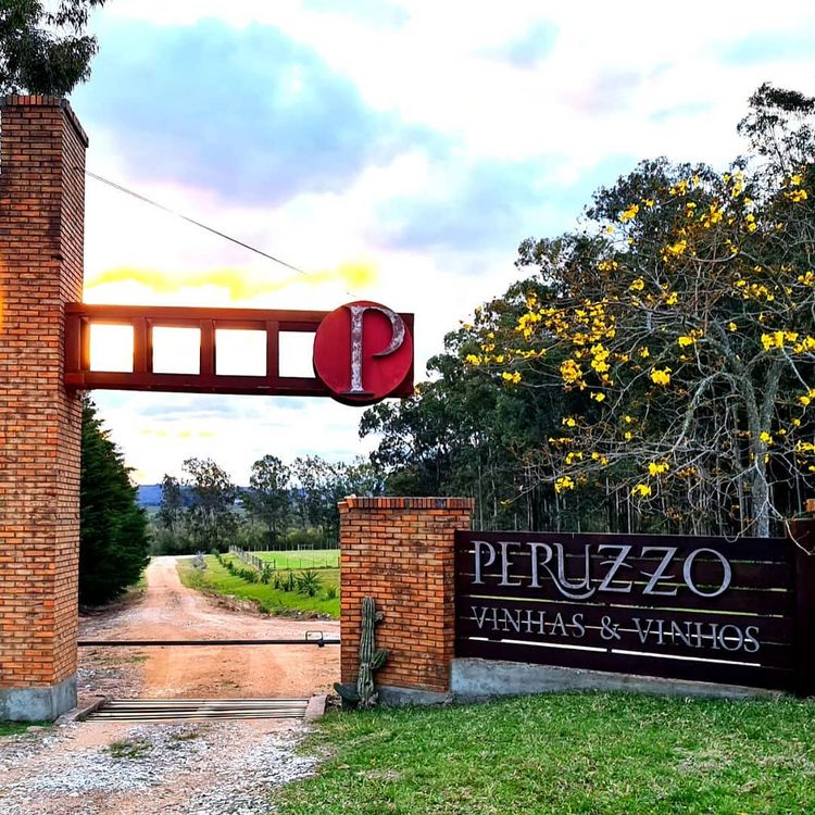 Vinícola Peruzzo - Wine Locals