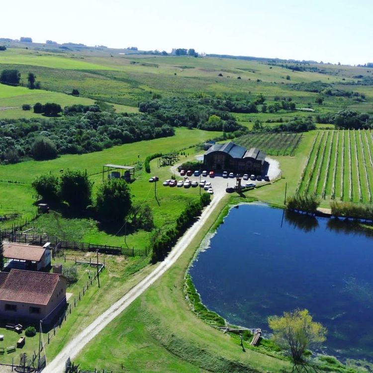 Vinícola Peruzzo - Wine Locals