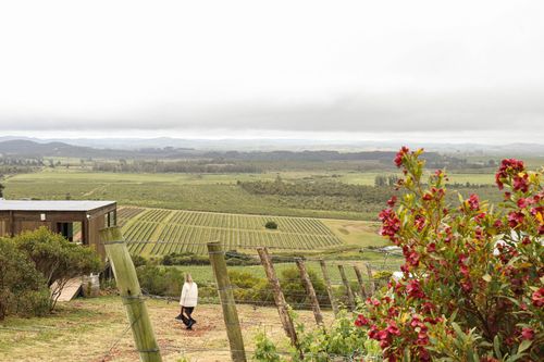 Bodega Cerro del Toro - Wine Locals